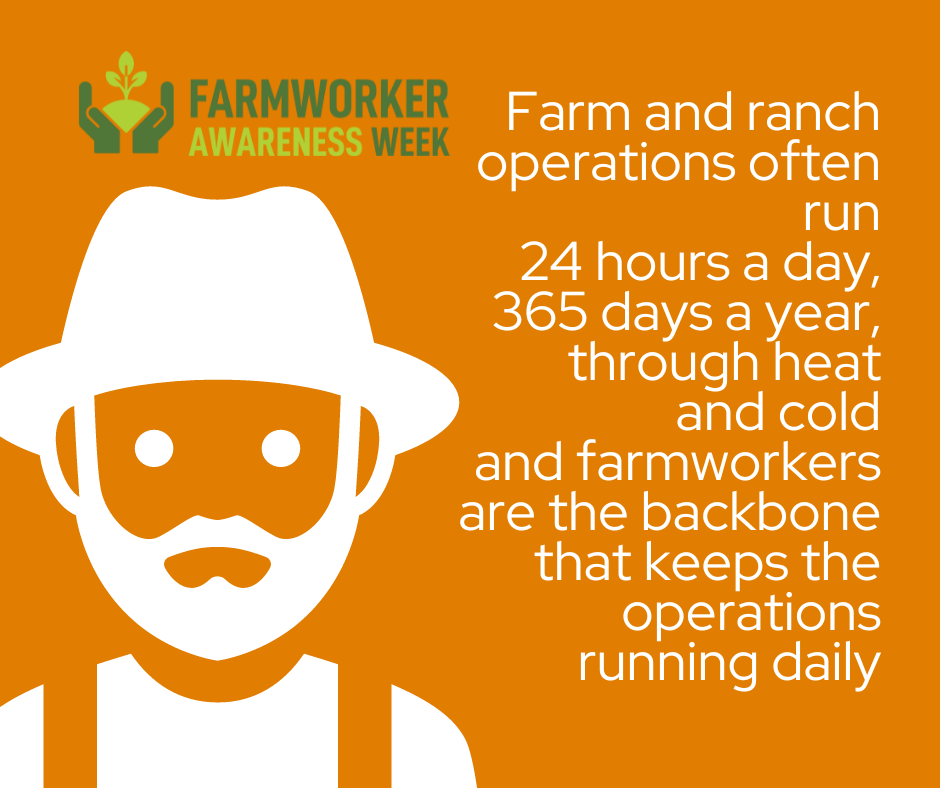 Sustaining Our Food Supply: Honoring Farmworkers This National ...